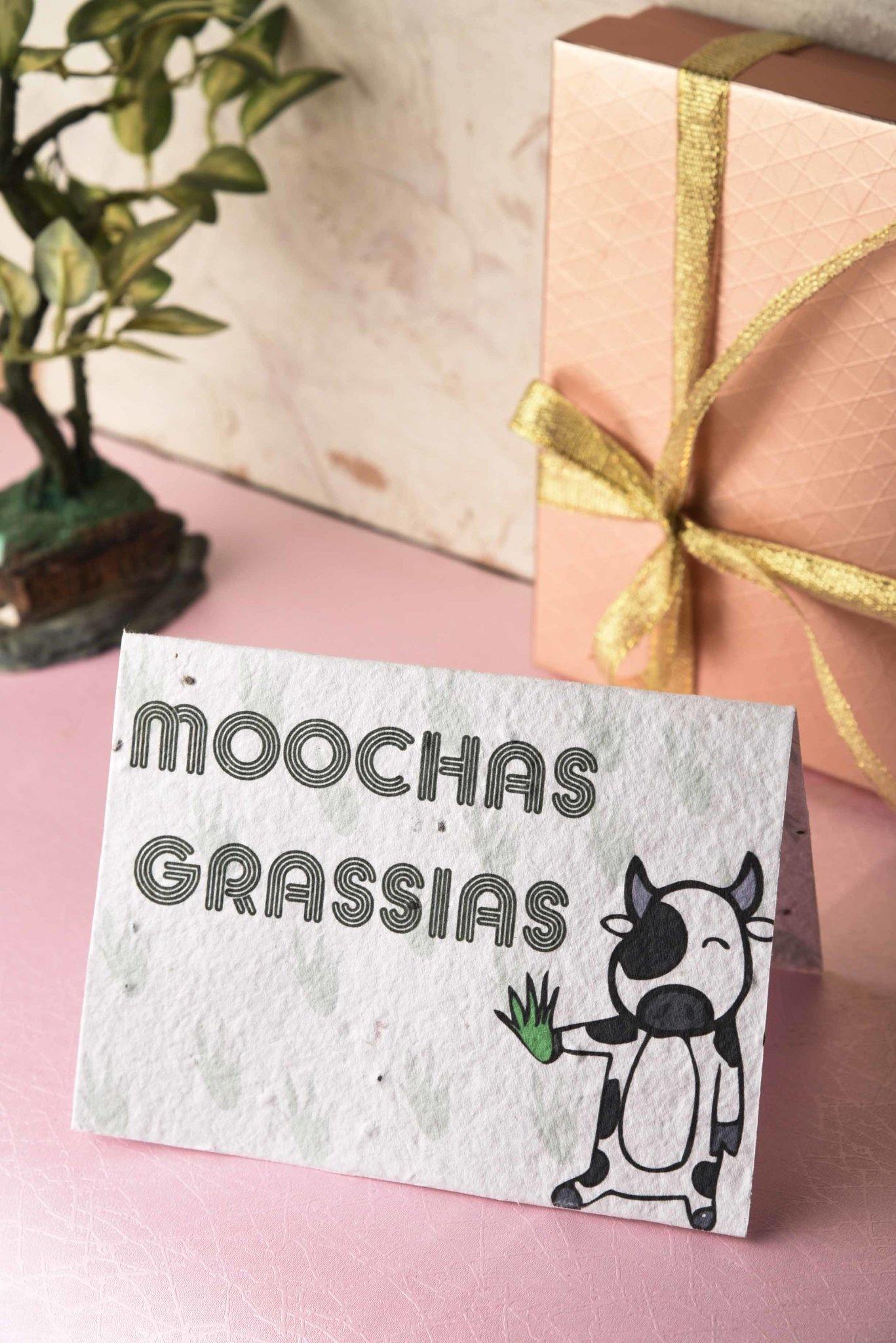 Eco-Friendly Plantable Seed Paper Birthday and Greeting Cards | Buy Online