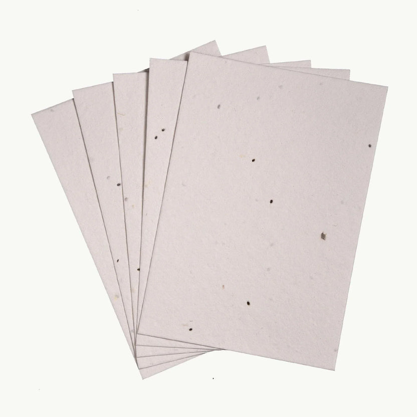 Plantable Seed Paper | Sustainable Handmade Cotton Paper with Seeds