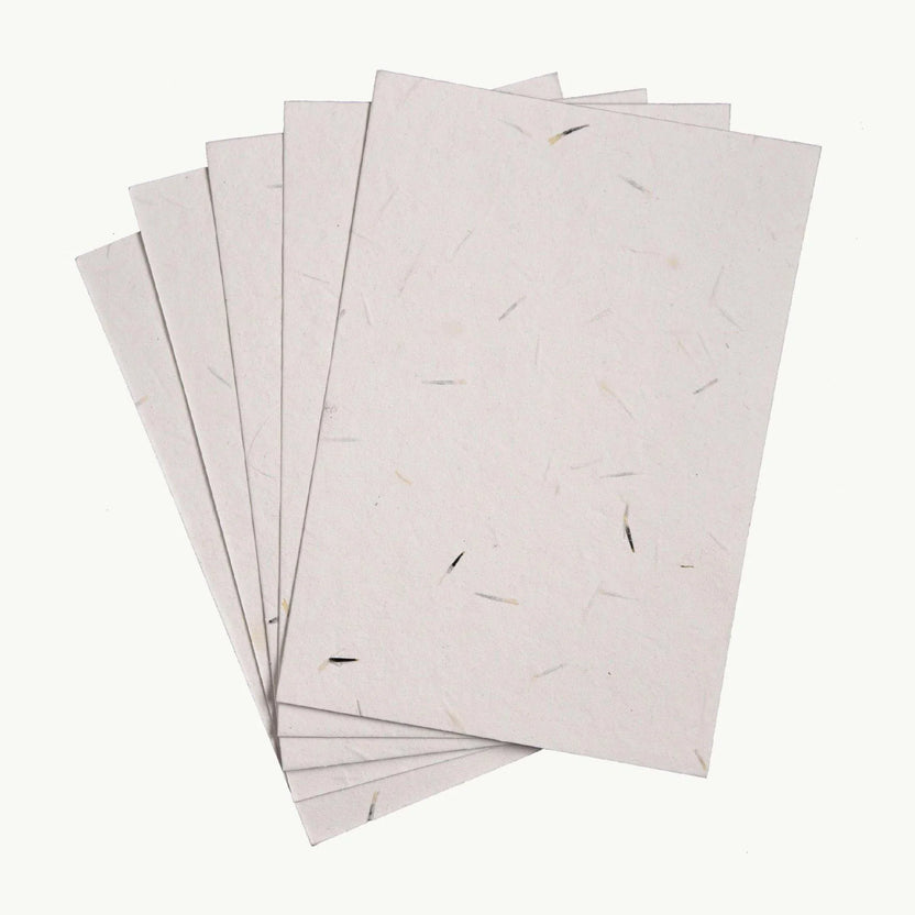 Plantable Seed Paper | Sustainable Handmade Cotton Paper with Seeds