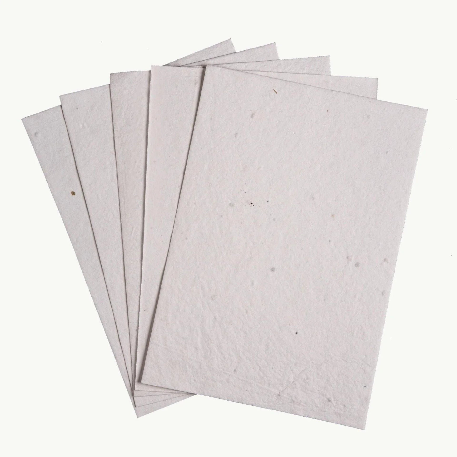 Plantable Seed Paper | Sustainable Handmade Cotton Paper with Seeds
