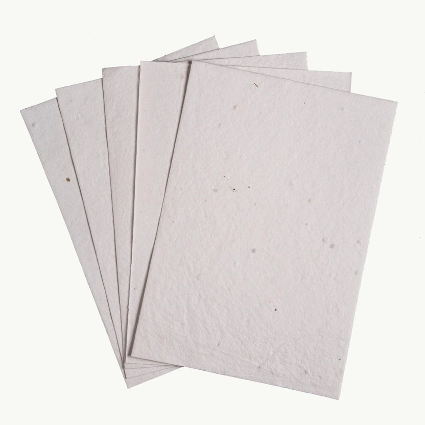 Plantable Seed Paper | Sustainable Handmade Cotton Paper with Seeds